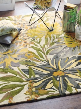 Harlequin Rugs | The Rugs Warehouse