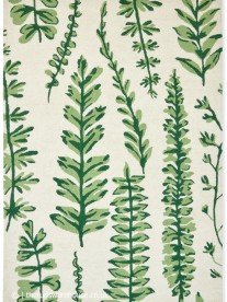 Fern Rug | The Rugs Warehouse