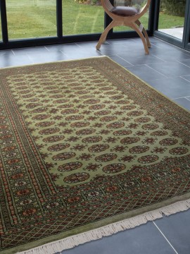Green Rugs | Lime, Olive, Sage, Mint Rugs | The Rugs Warehouse