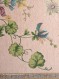 Sagrini Rose Multi-Coloured bordered Polyester Modern Flat Woven Rug ...
